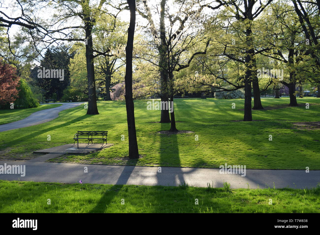 Beautiful picnic in green garden hi-res stock photography and images ...