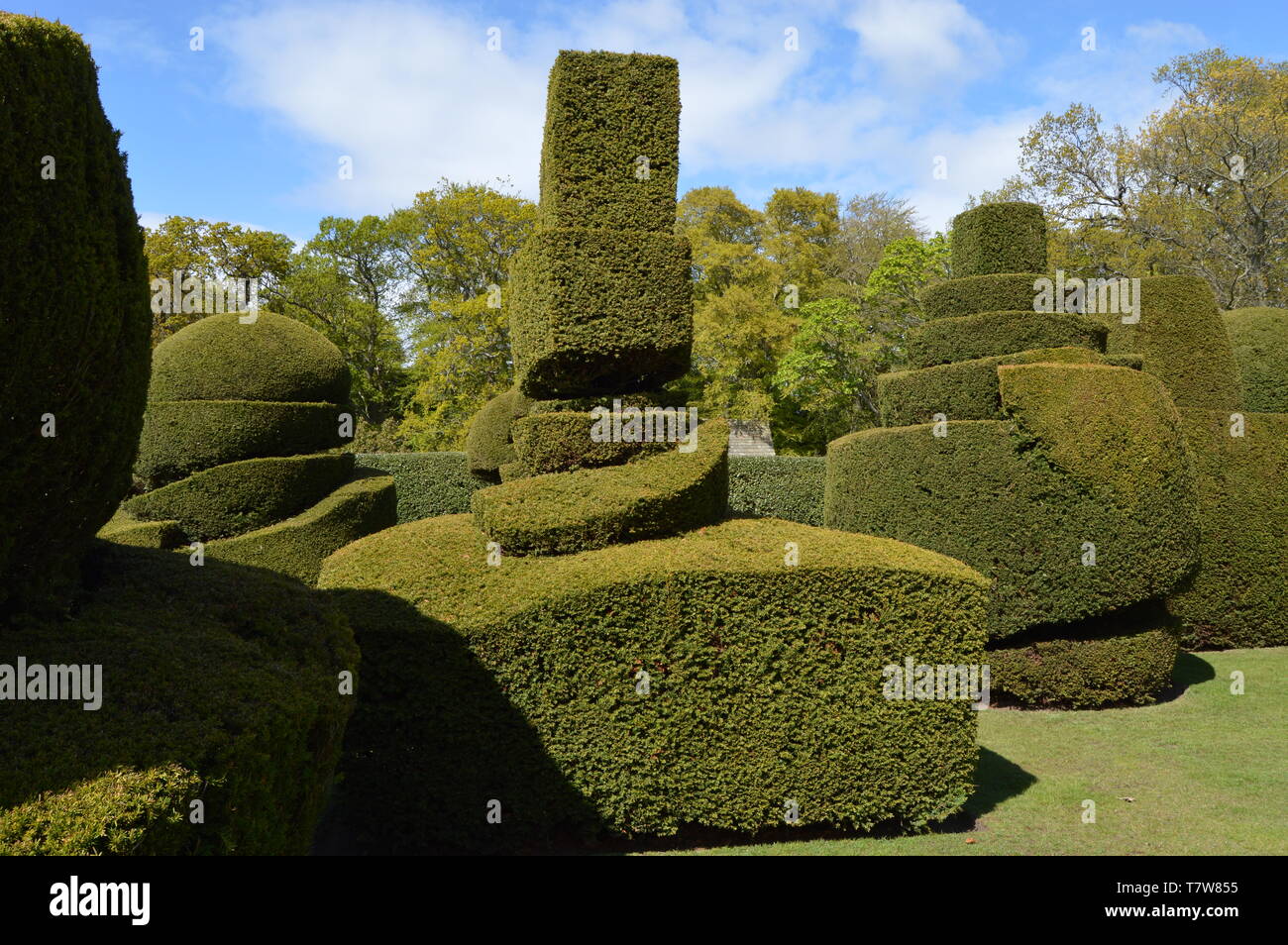 Ancient castle yew hedges hi-res stock photography and images - Alamy