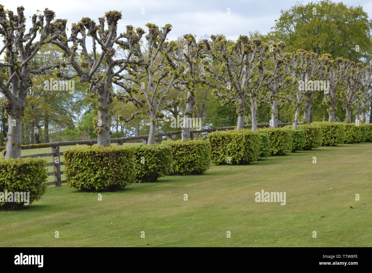 16th Century Earlshall Castle, Leuchars, near St Andrews, Fife ...