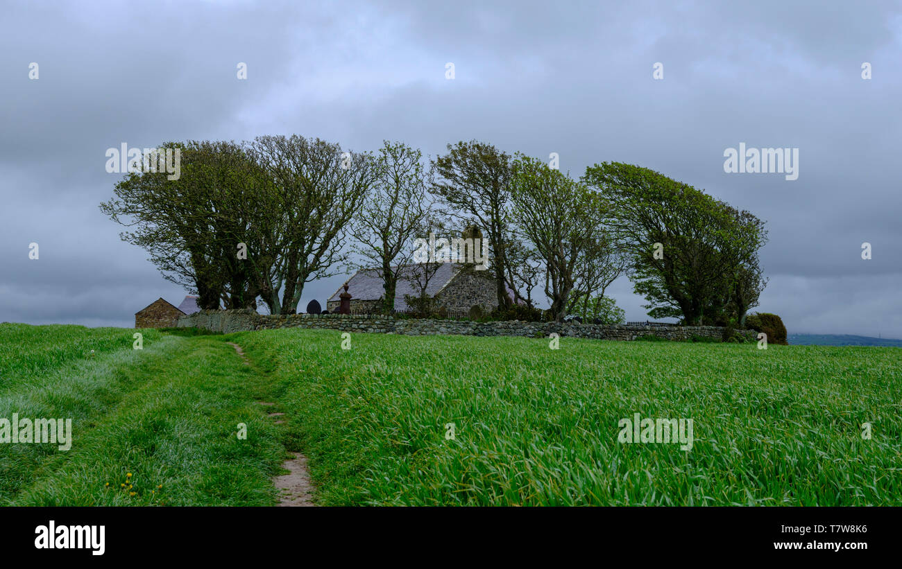 St baglan’s church wales hi-res stock photography and images - Alamy