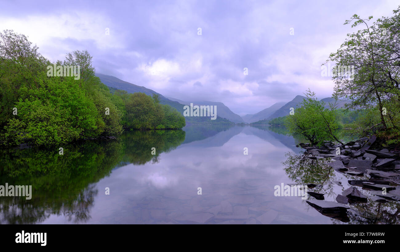 Lonely tree of llyn padarn hi-res stock photography and images - Alamy