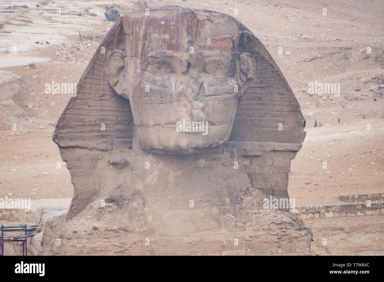 Traces of 4,000 year-old paint are still visible on the Great Sphinx of ...