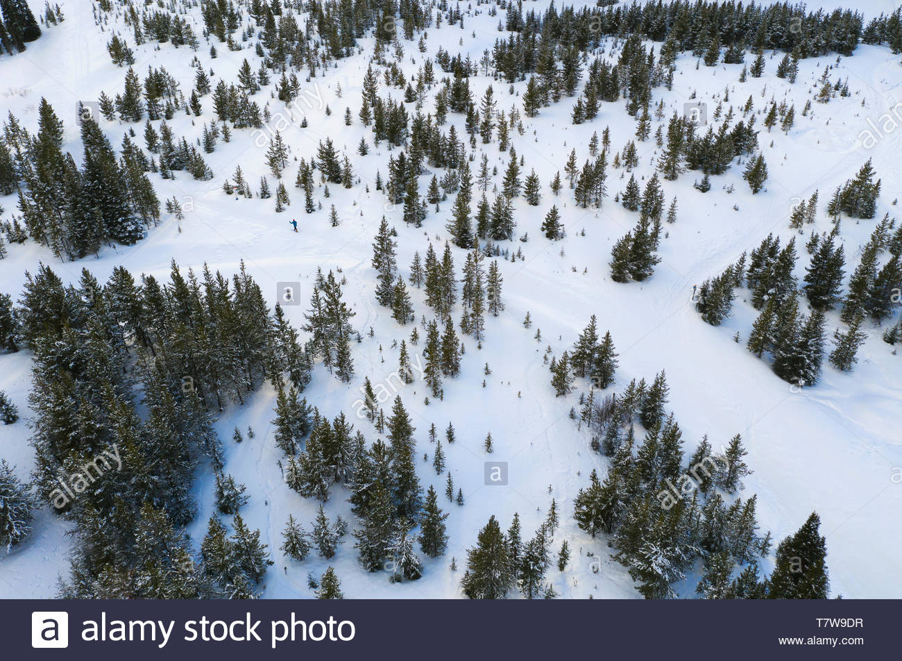 Aerial view snowy trees mountainside hi-res stock photography and ... Aerial view snowy trees mountainside hi-res stock photography and ...