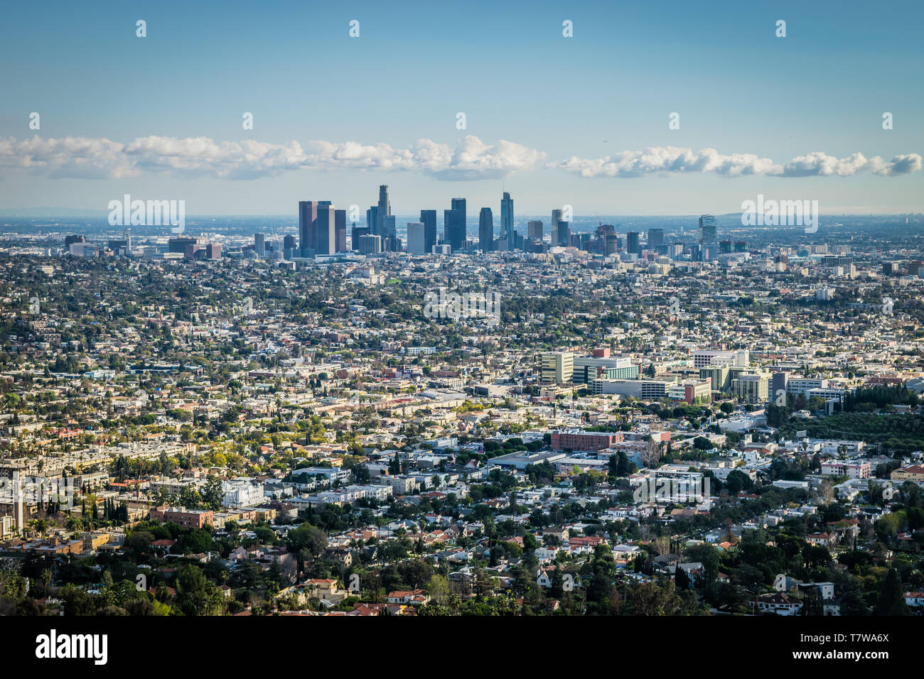 Los Angeles Panoramic View