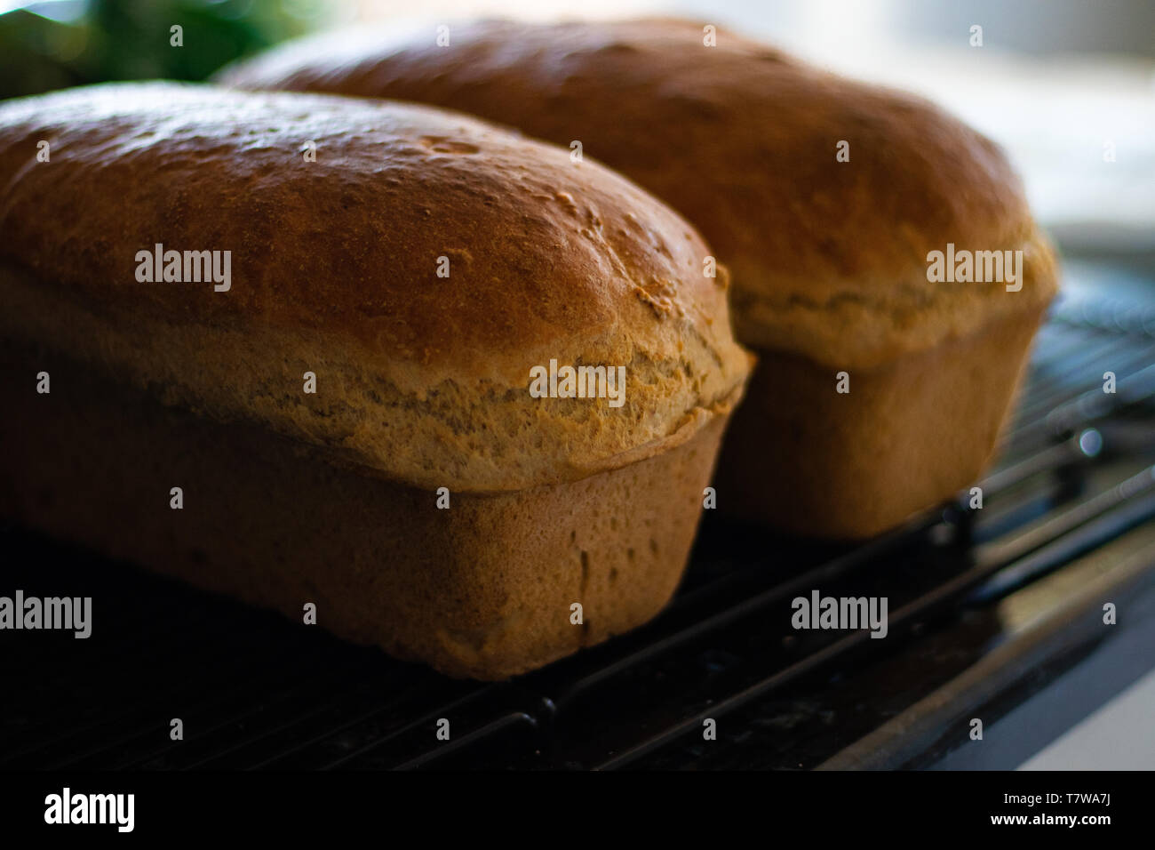 Two homemade hi-res stock photography and images - Alamy