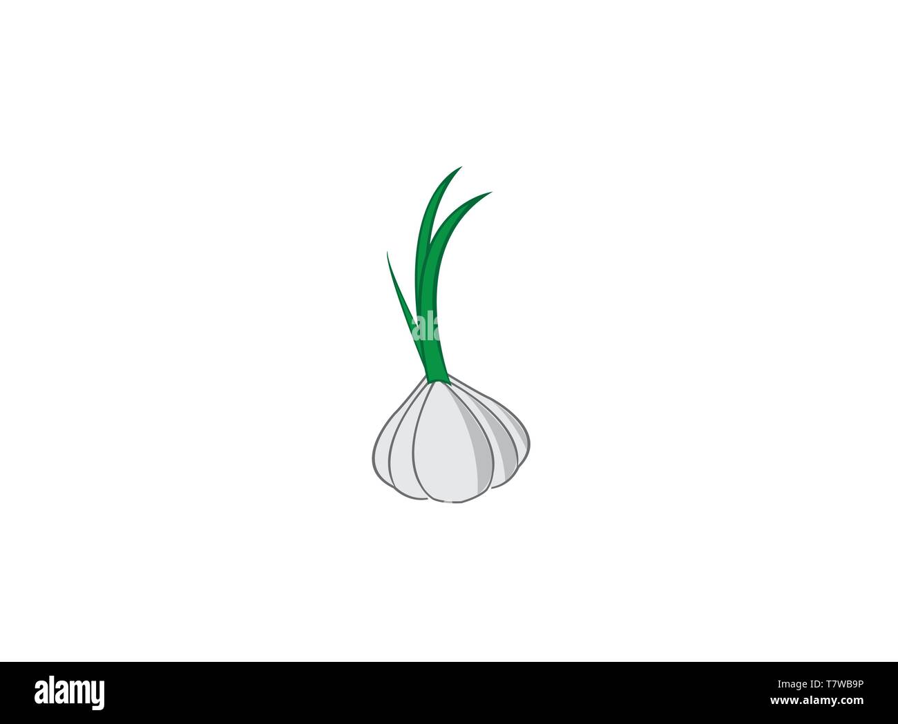 A clove of garlic with leaves for logo design illustration Stock Vector ...