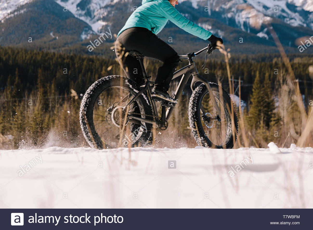 Fatbike fat bike hi-res stock photography and images - Alamy
