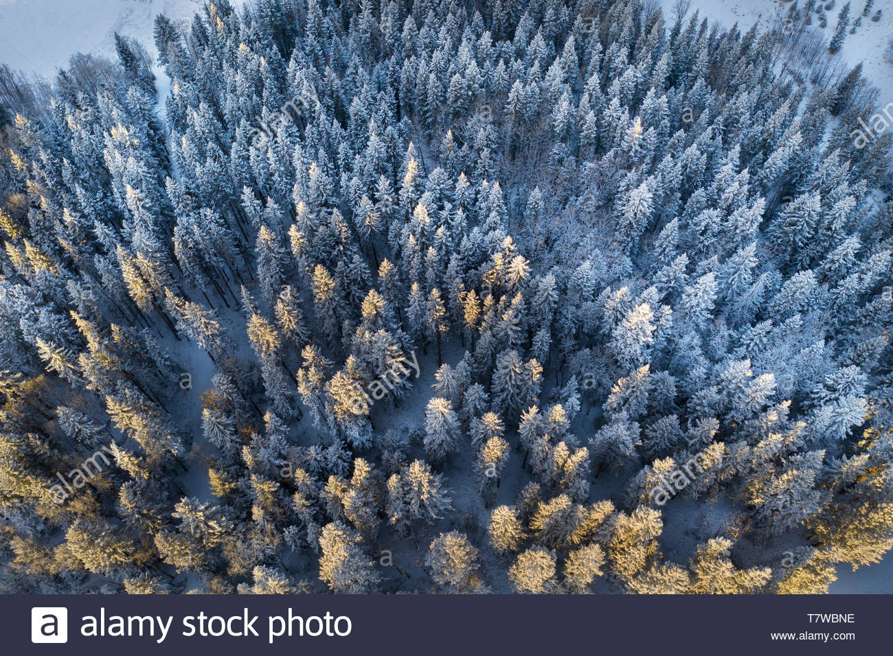 Canada forest snow aerial hi-res stock photography and images - Alamy