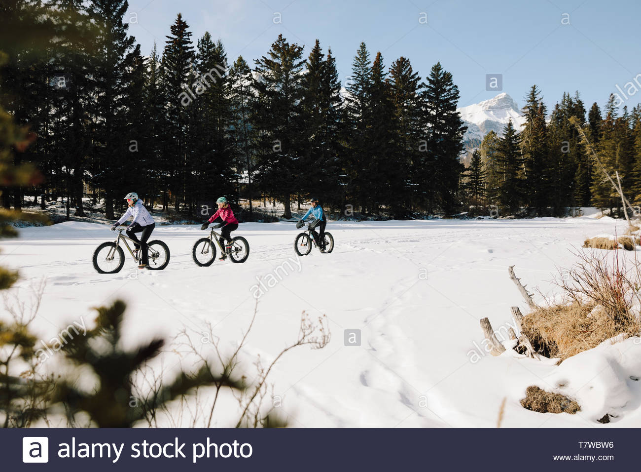 Fat biking snow hi-res stock photography and images - Alamy
