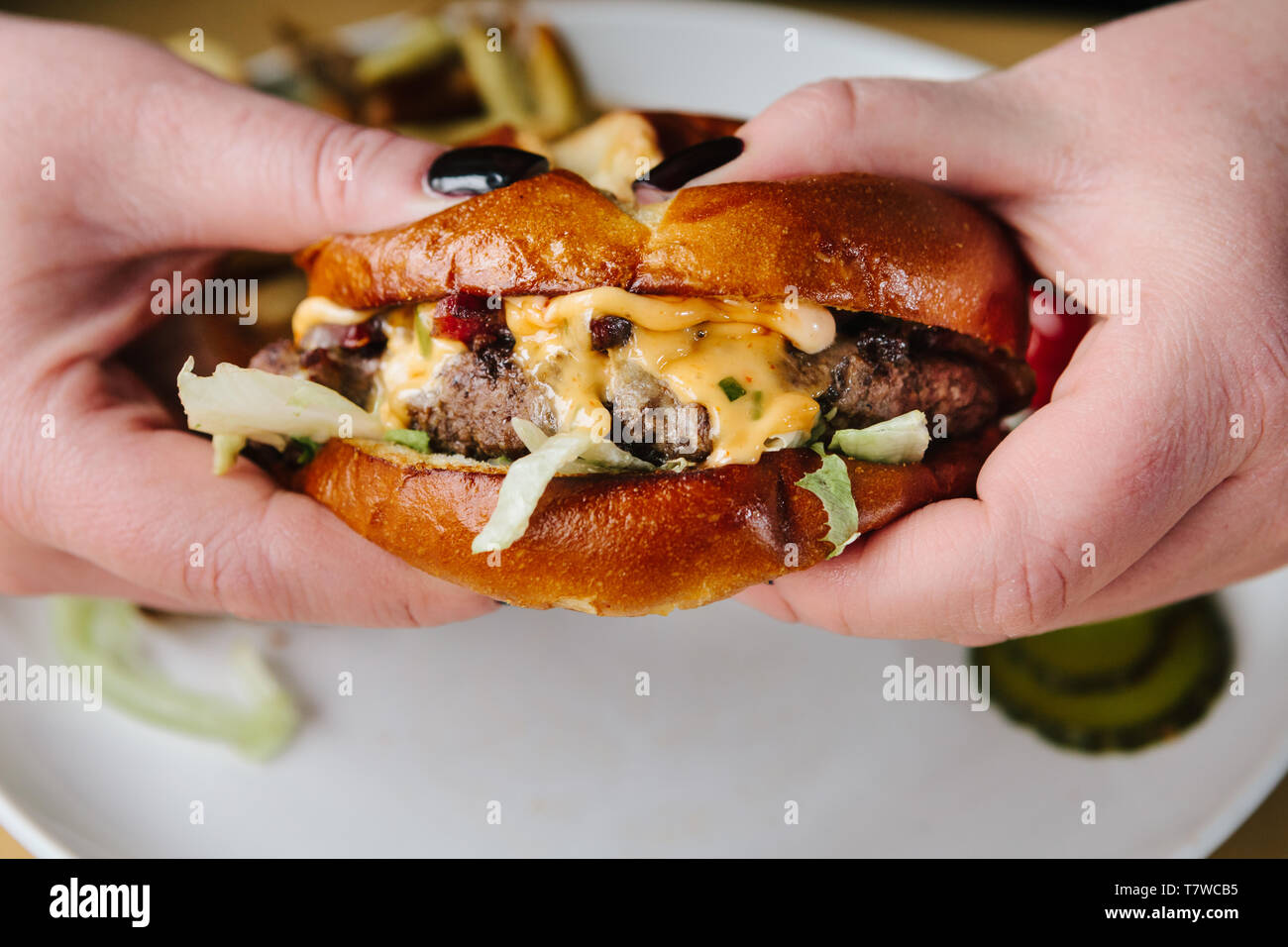 Cheeseburger with french fries plated, restaurant quality Stock Photo ...