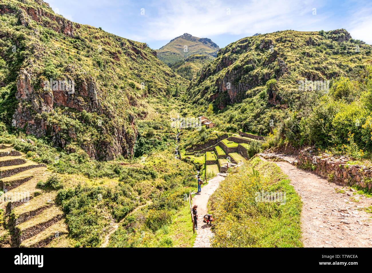 View at the agriculture Inca plants farming terraces at archeological ...