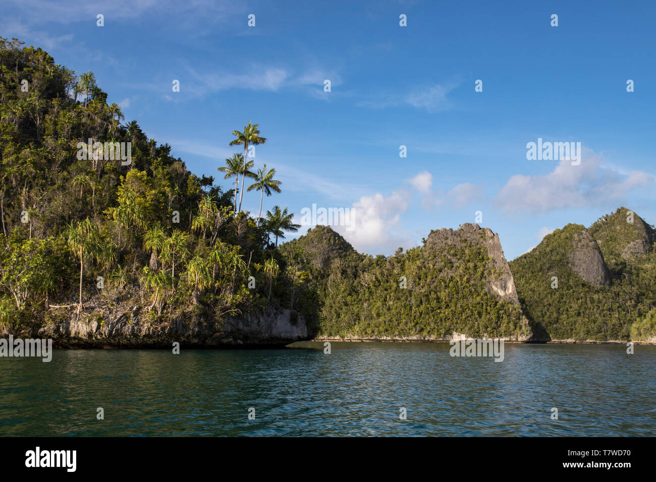Karst limestone formations in Wayag Island, Raja Ampat, West Papua ...