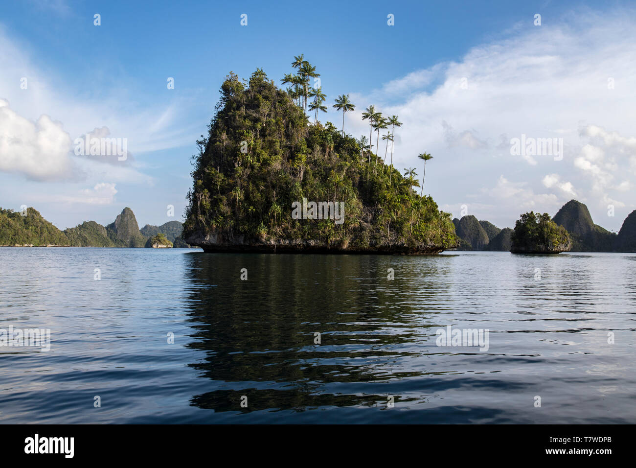 Karst limestone formations in Wayag Island, Raja Ampat, West Papua ...