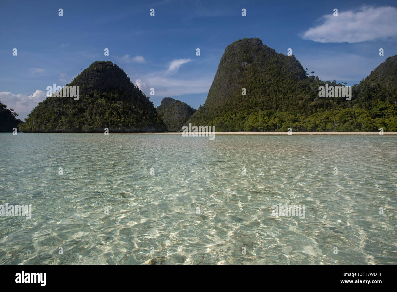 Lagoon and karst limestone formations in Wayag Island, Raja Ampat, West ...