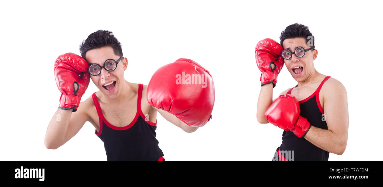 Funny boxer isolated on the white background Stock Photo - Alamy