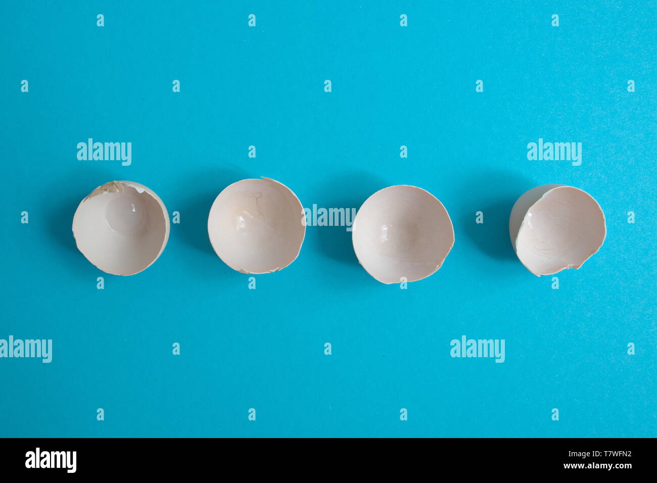 Blue egg shells hi-res stock photography and images - Alamy