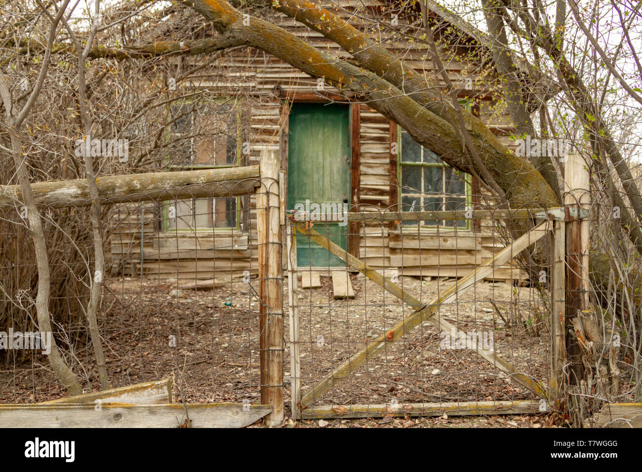 Very old and worn down house in the small old mining town of Radersburg ...