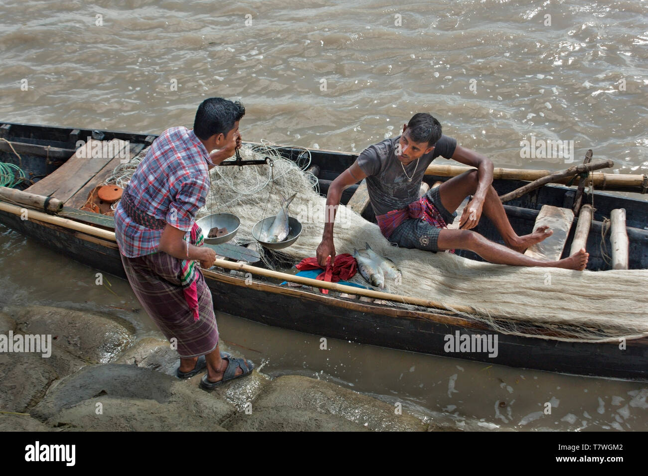 National fish of bangladesh hi-res stock photography and images - Alamy