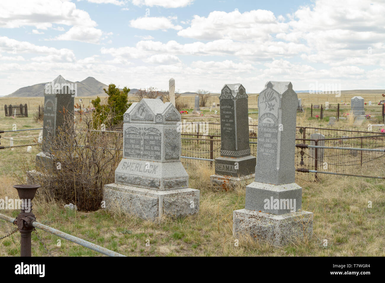 Sherlock family plot hi-res stock photography and images - Alamy