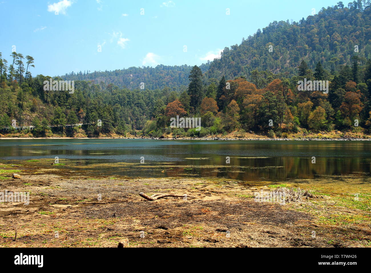 Lagunas de Zempoala National Park in Morelos, Mexico Stock Photo - Alamy