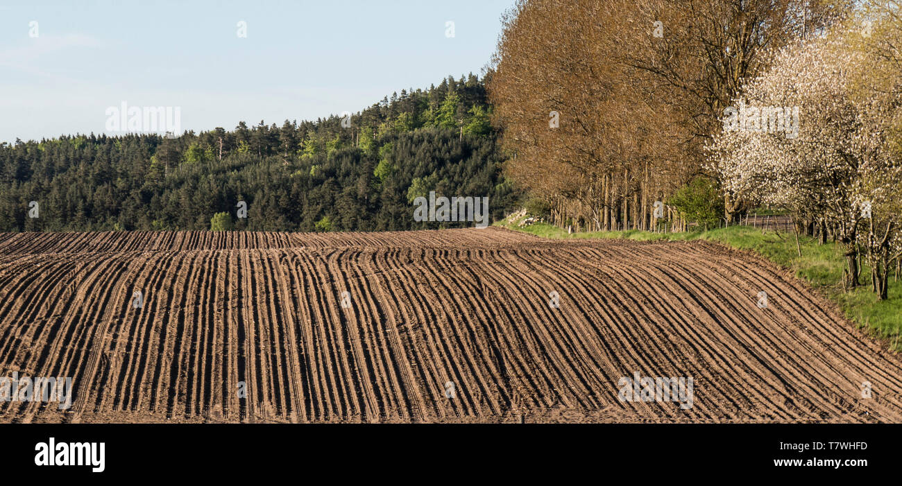 A newly sowed field Stock Photo - Alamy
