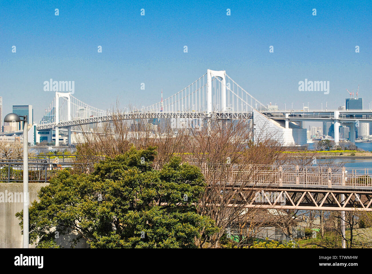 View of Rainbow bridge. Odaiba. Tokyo. Japan Stock Photo - Alamy