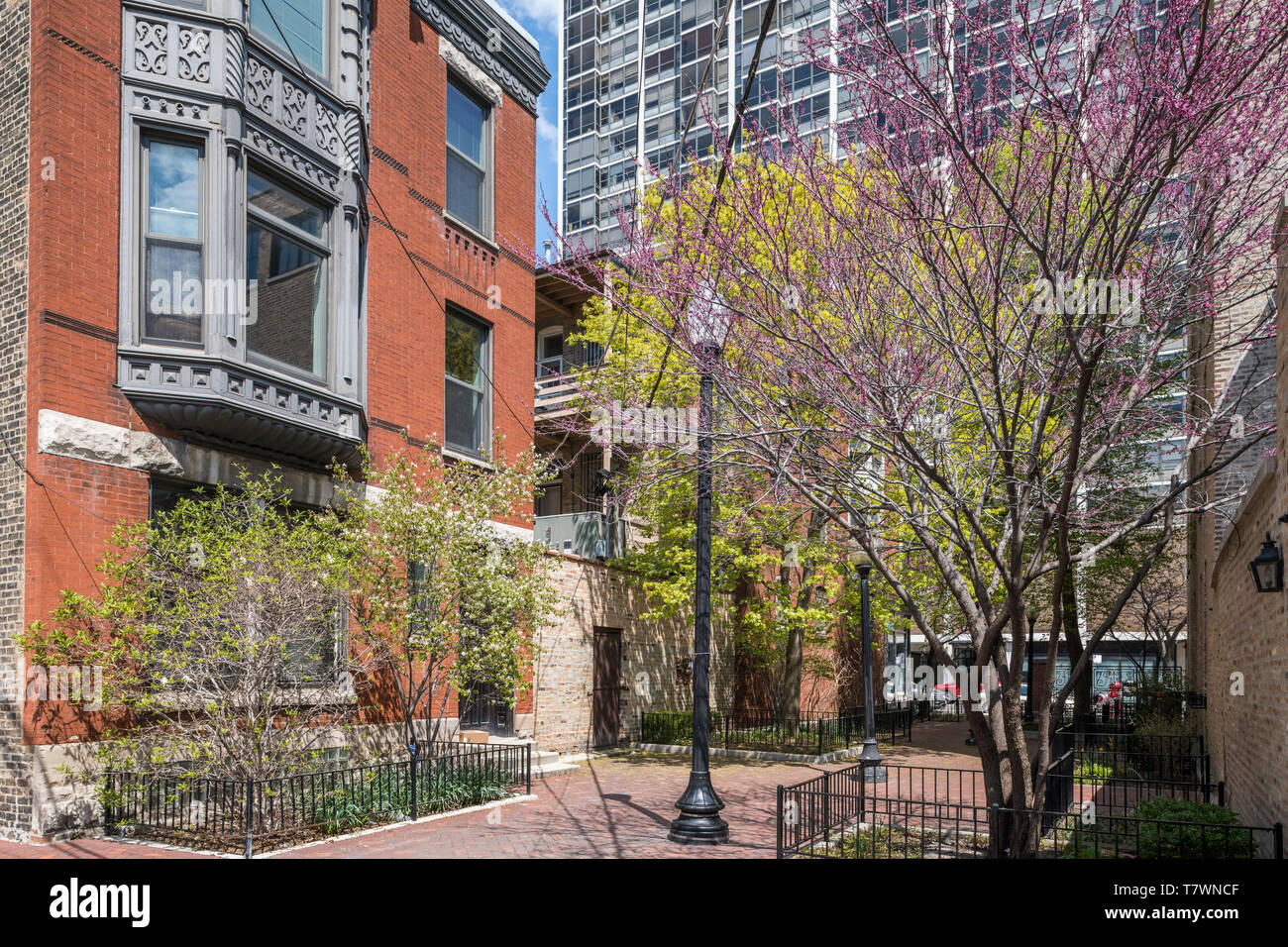 Residential buildings in the Old Town neighborhood Stock Photo - Alamy