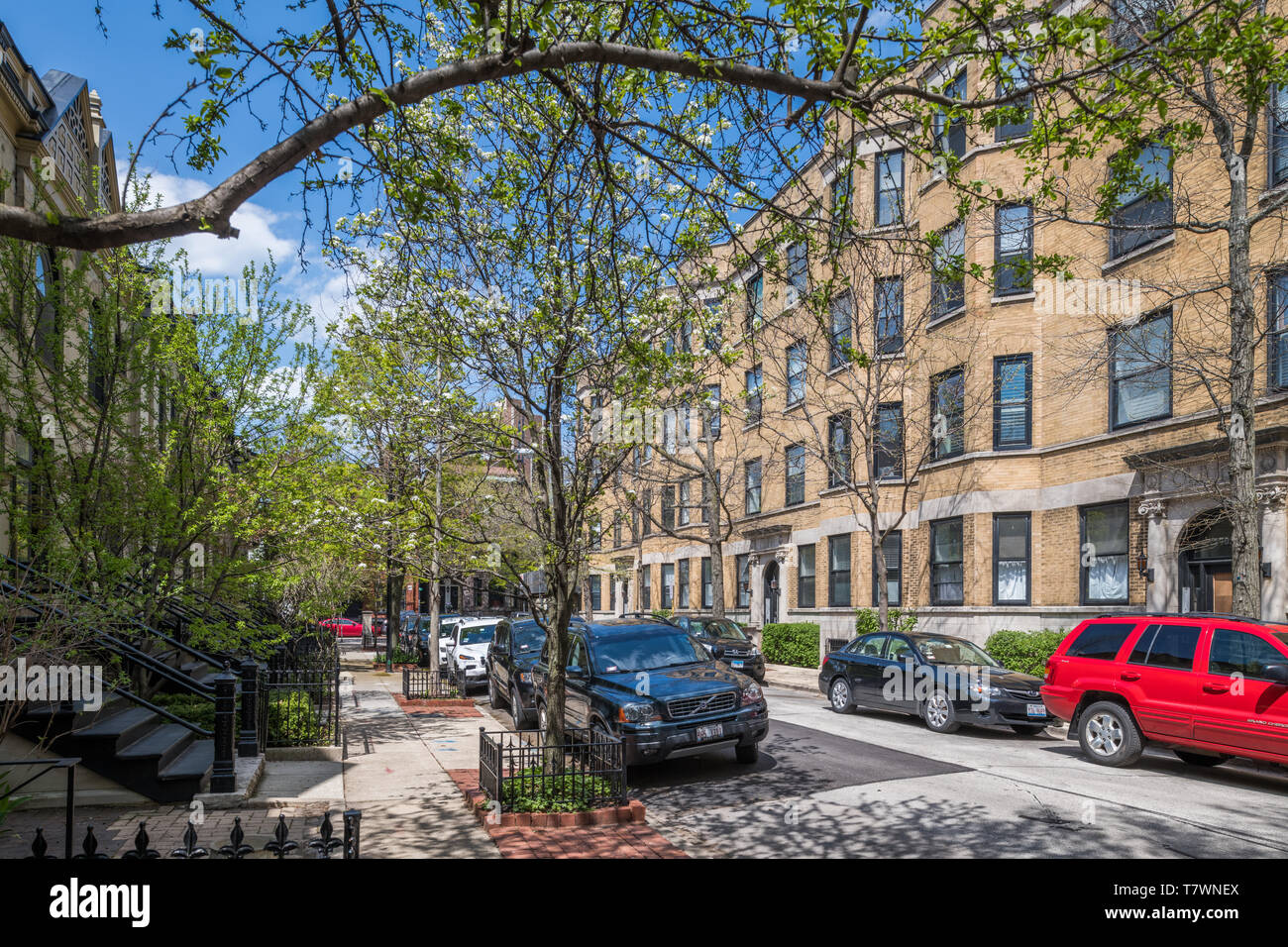 Crilly hi-res stock photography and images - Alamy