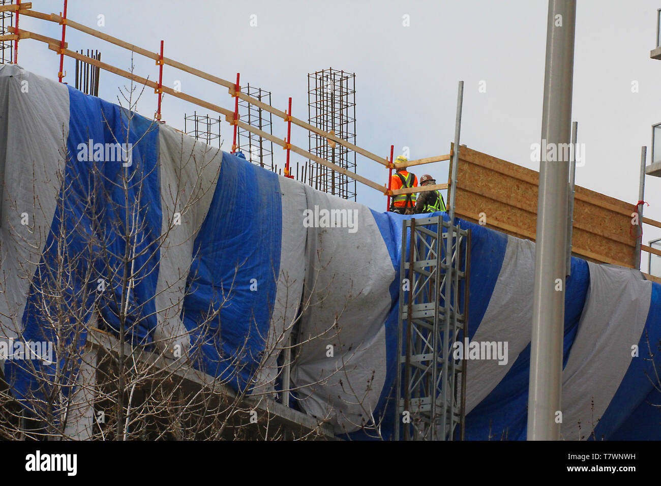 Intersecting arch lines hi-res stock photography and images - Alamy