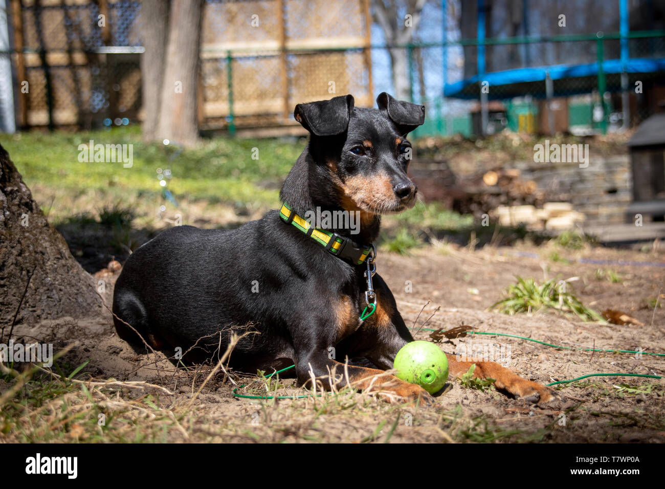 Taking sun hi-res stock photography and images - Alamy