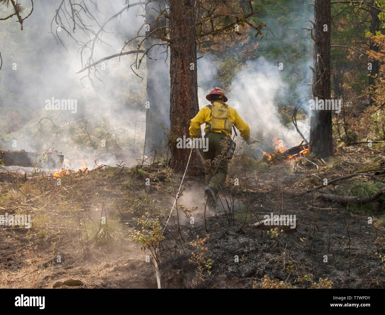 Firefighter forest fire hi-res stock photography and images - Alamy