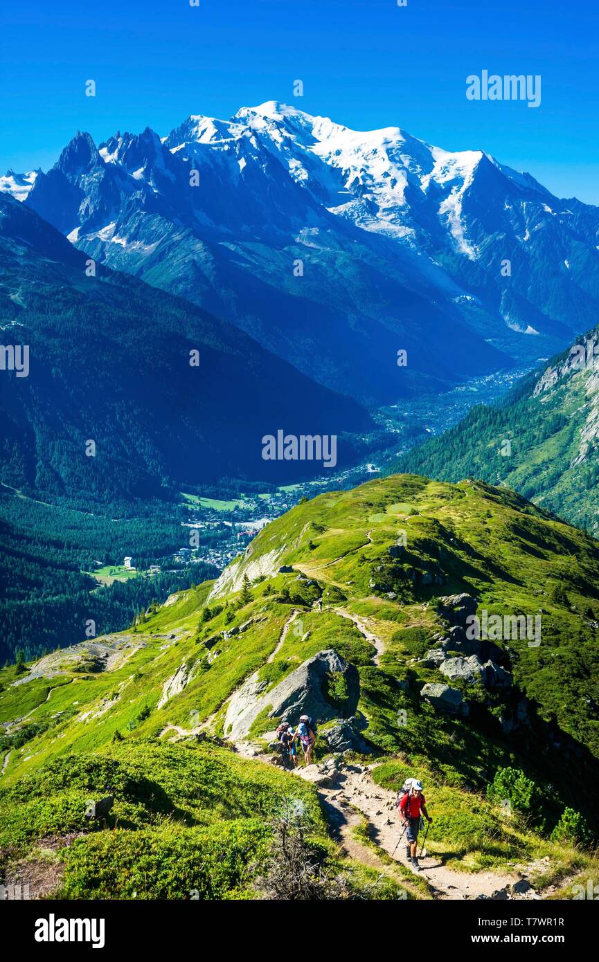France, Haute-Savoie, Le Tour, Tour du Mt Blanc, col and Aiguille des ...