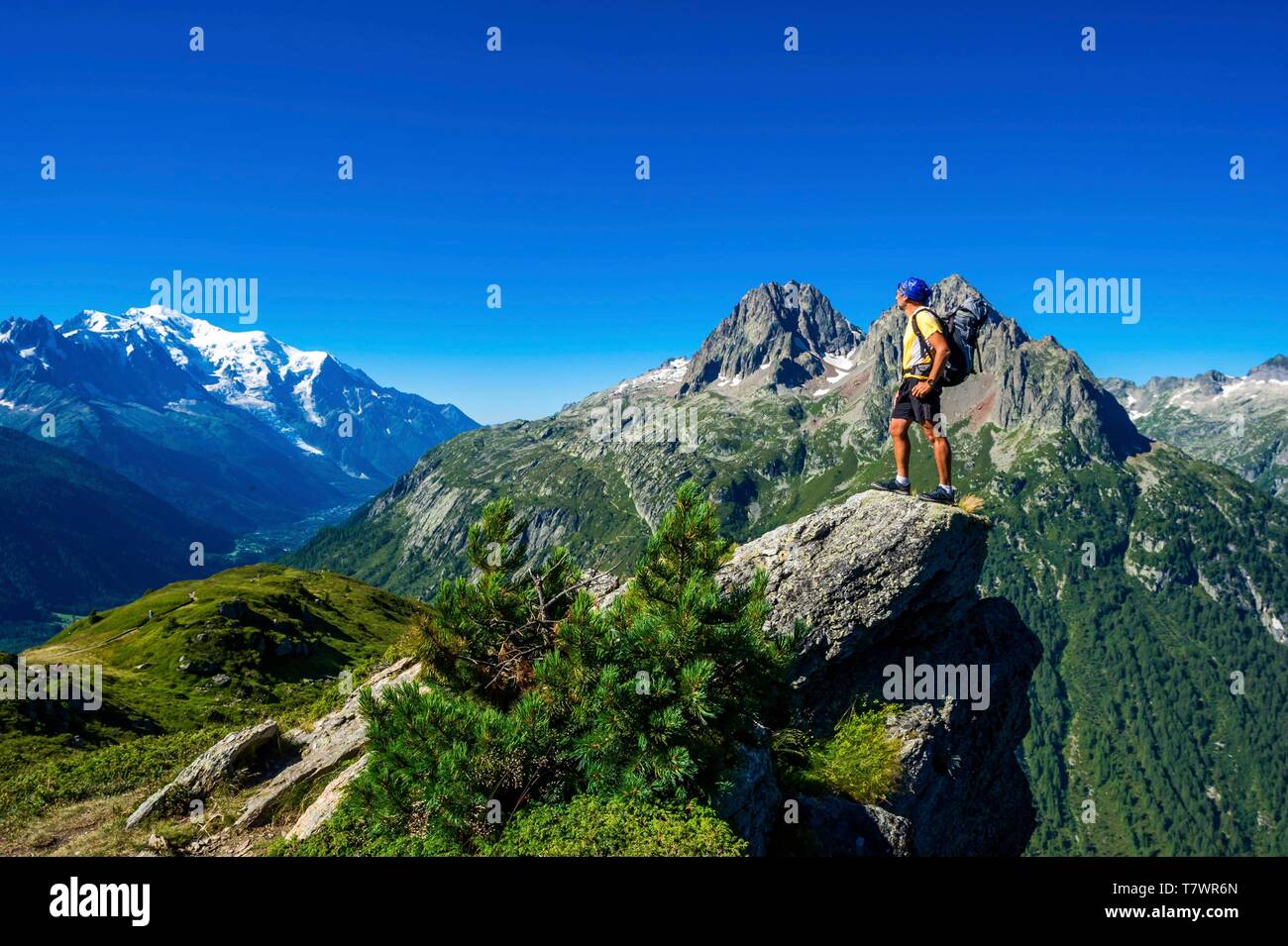 France, Haute-Savoie, Le Tour, Tour du Mt Blanc, col and Aiguille des ...