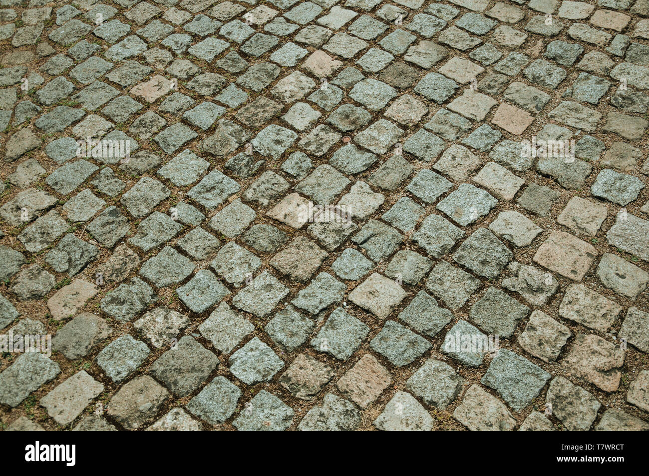 Pavement made of granite setts forming a singular background at ...