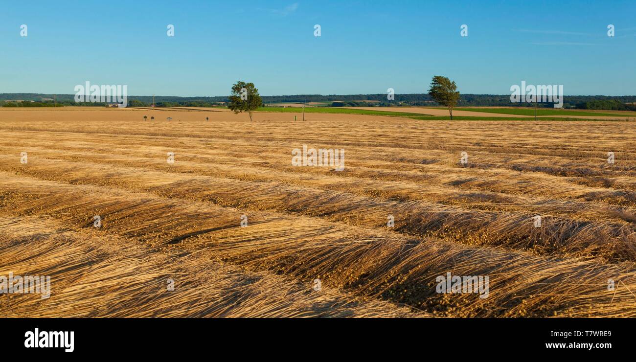 Guines France High Resolution Stock Photography and Images - Alamy