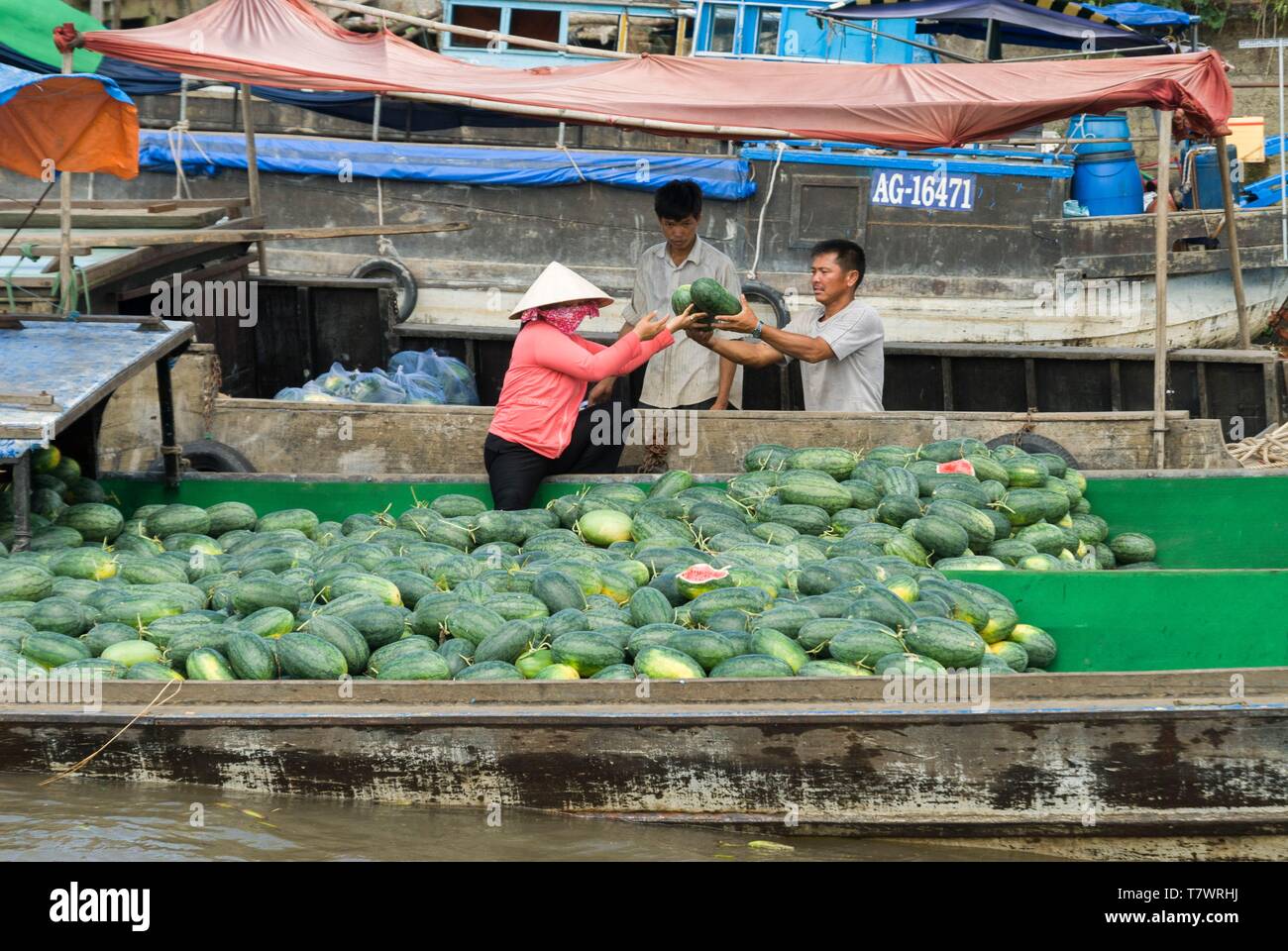 Vietnam, Tien Giang Province, Mekong Delta Region, Cai Be, Floating ...