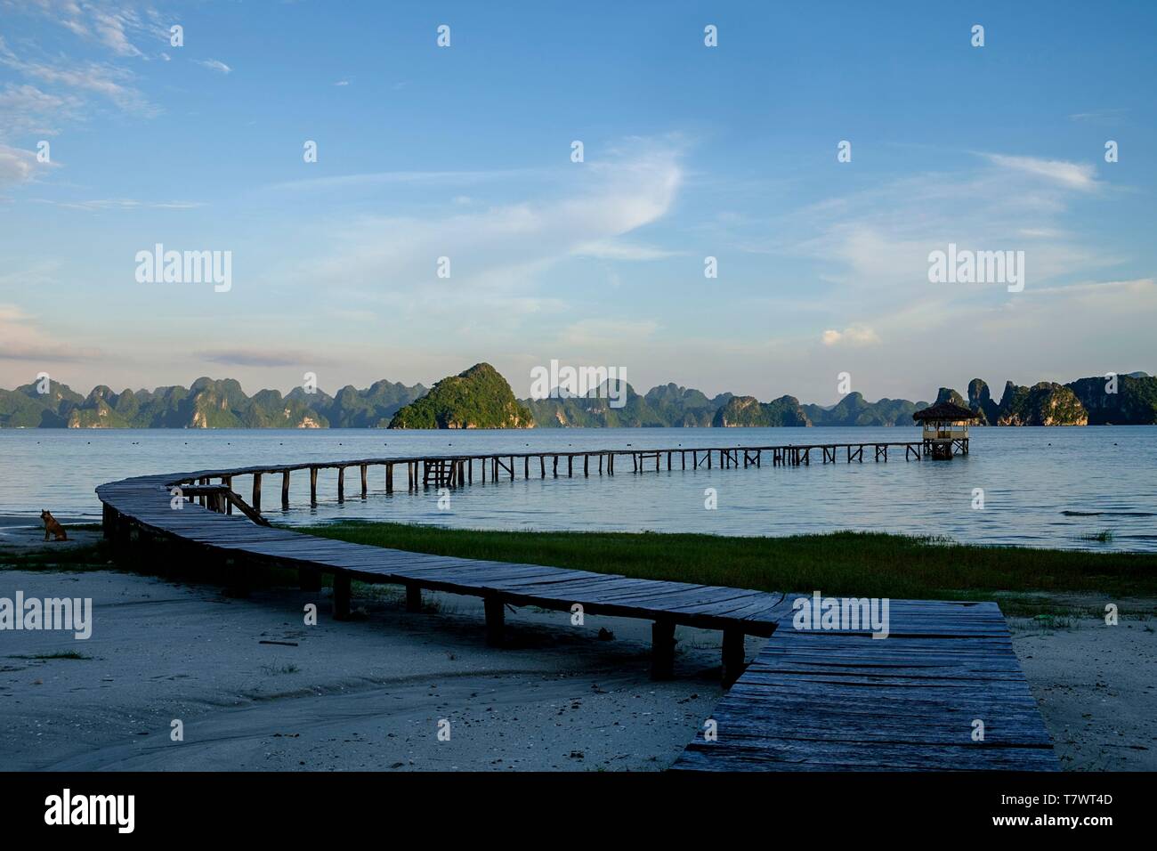 Vietnam, Ha Long bay listed as World Heritage by UNESCO, Van Don island ...
