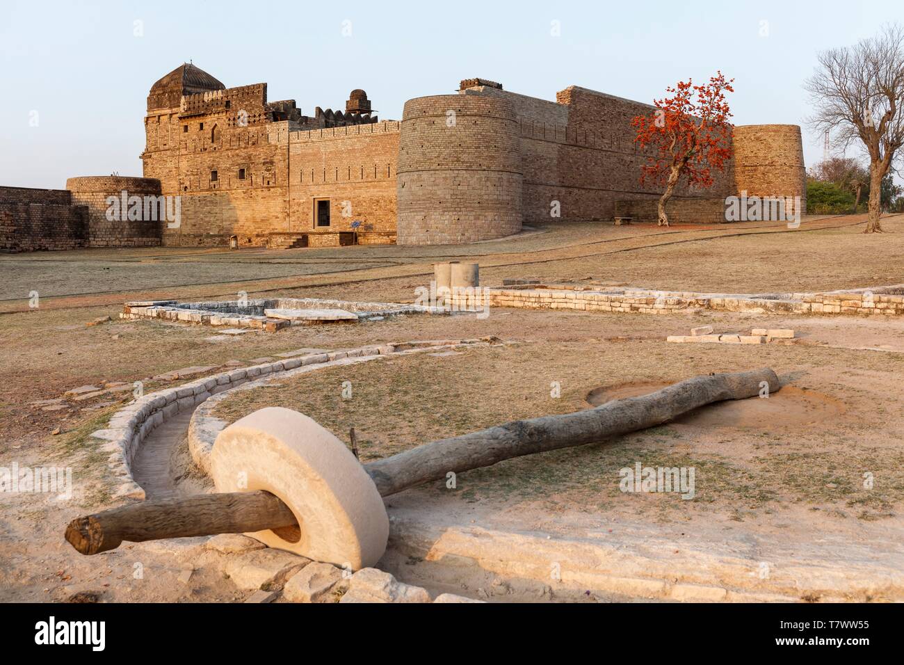 Chanderi fort hi-res stock photography and images - Alamy