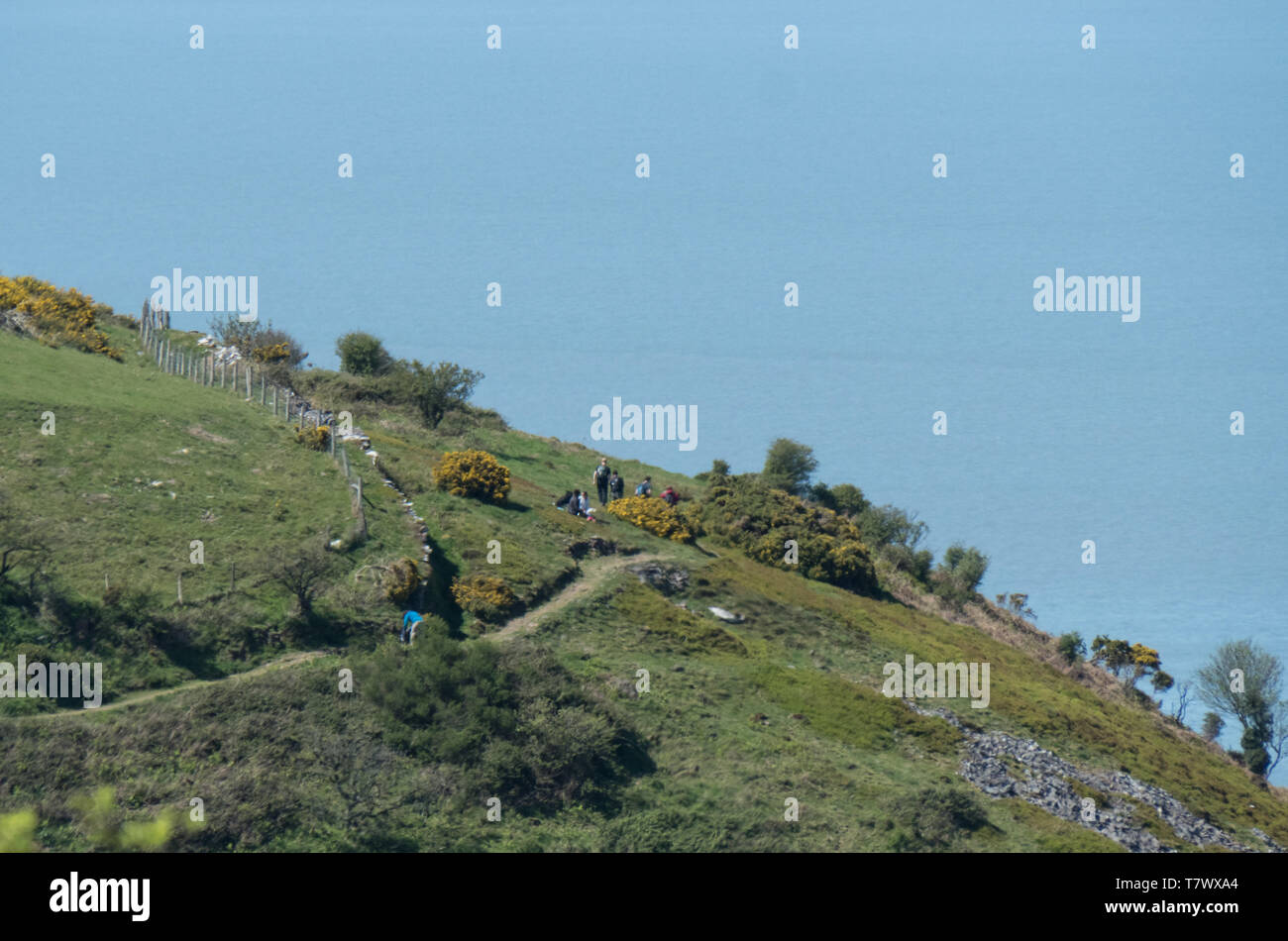 South west coastal path minehead hi-res stock photography and images ...