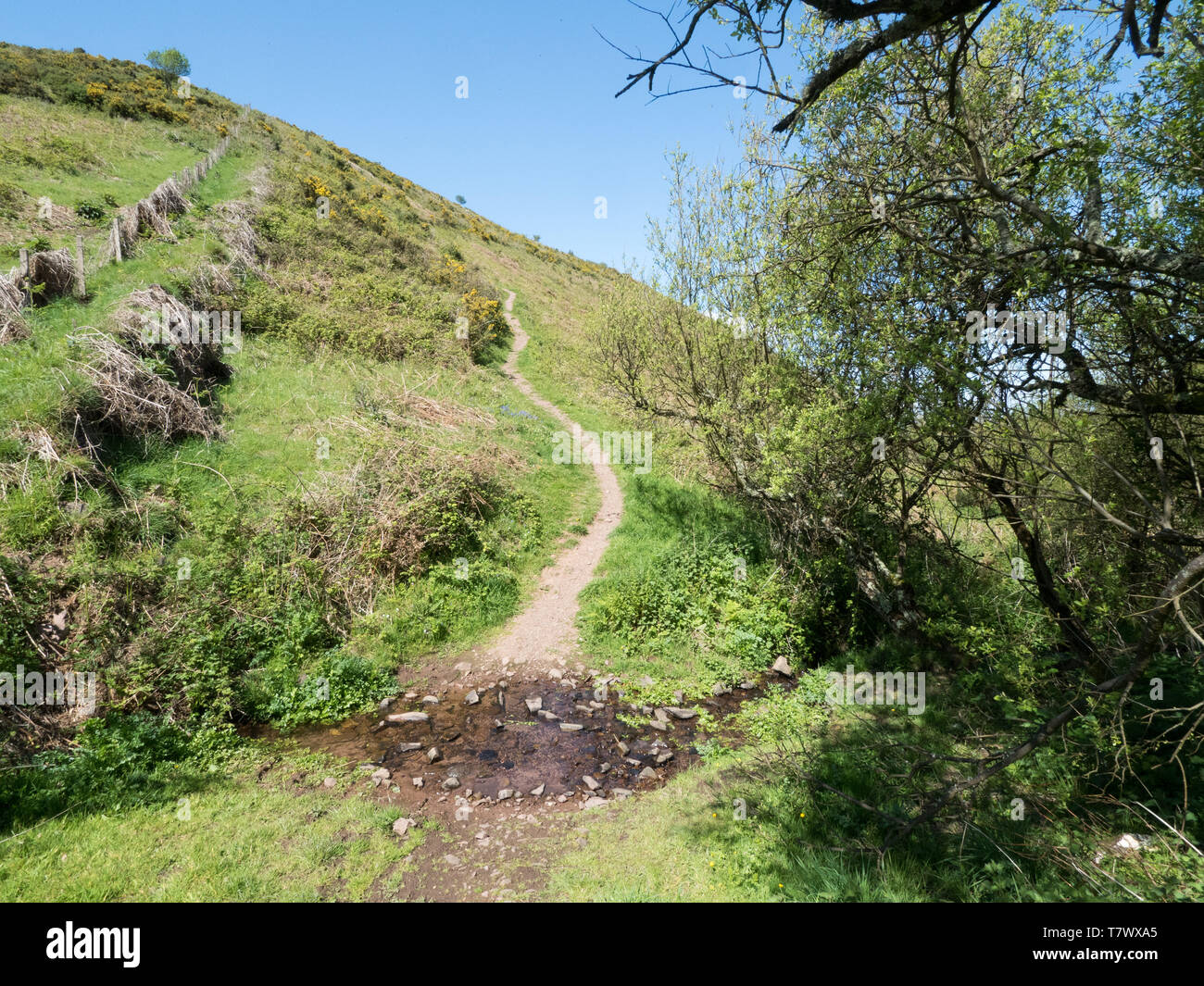 South west coastal path minehead hi-res stock photography and images ...