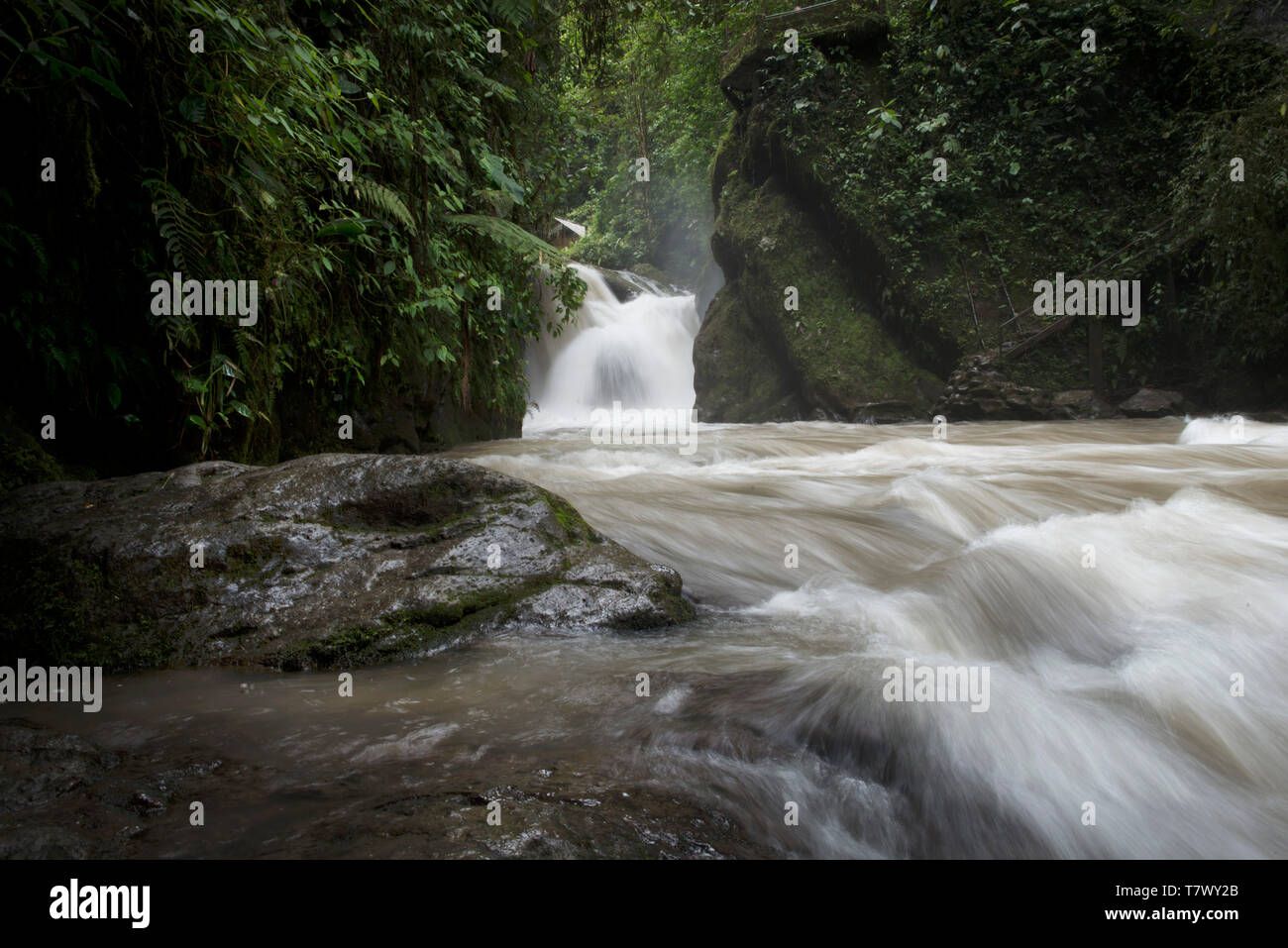 Waterfall near Mindo in Ecuador, you need to take a walk and a gondola ...