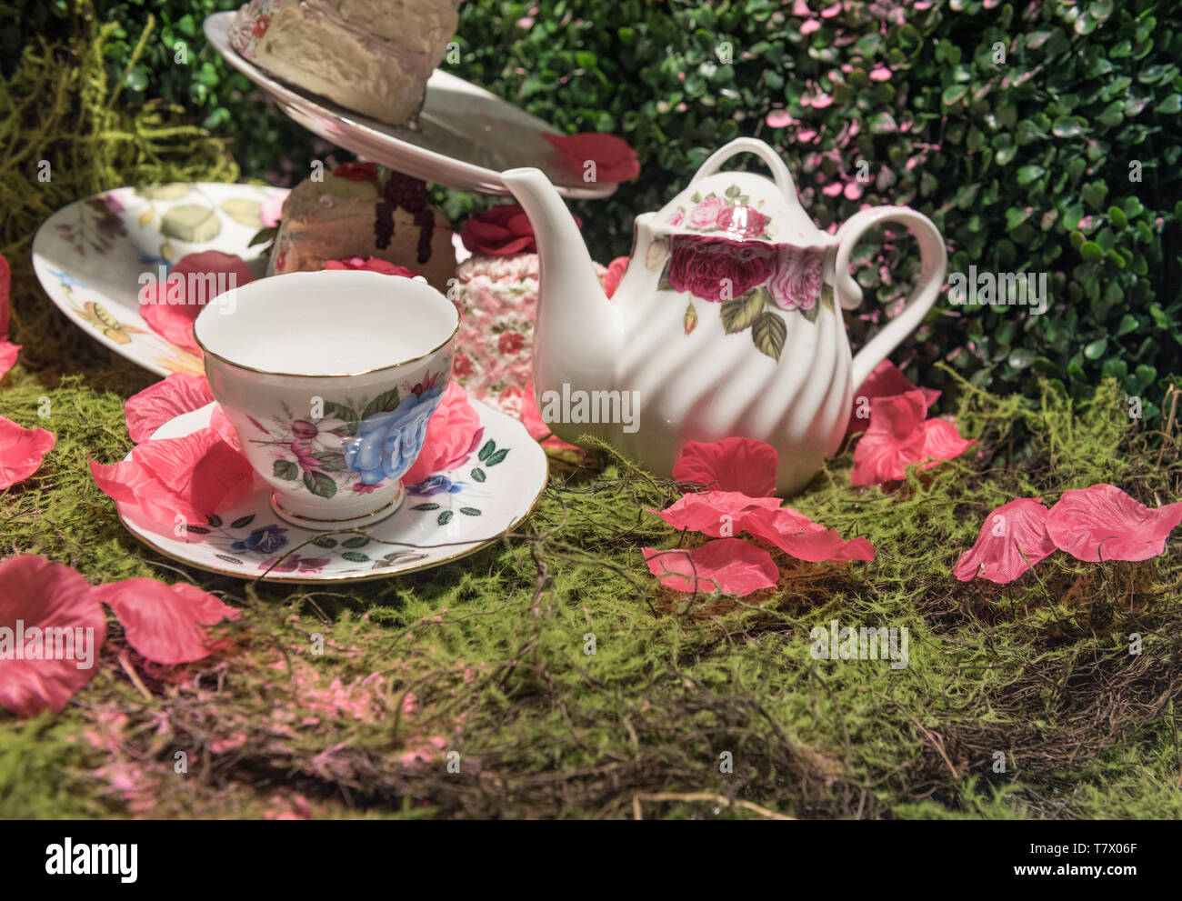 Luxurious Cream Tea Picnic Party Scene with Flower Petals and Old ...