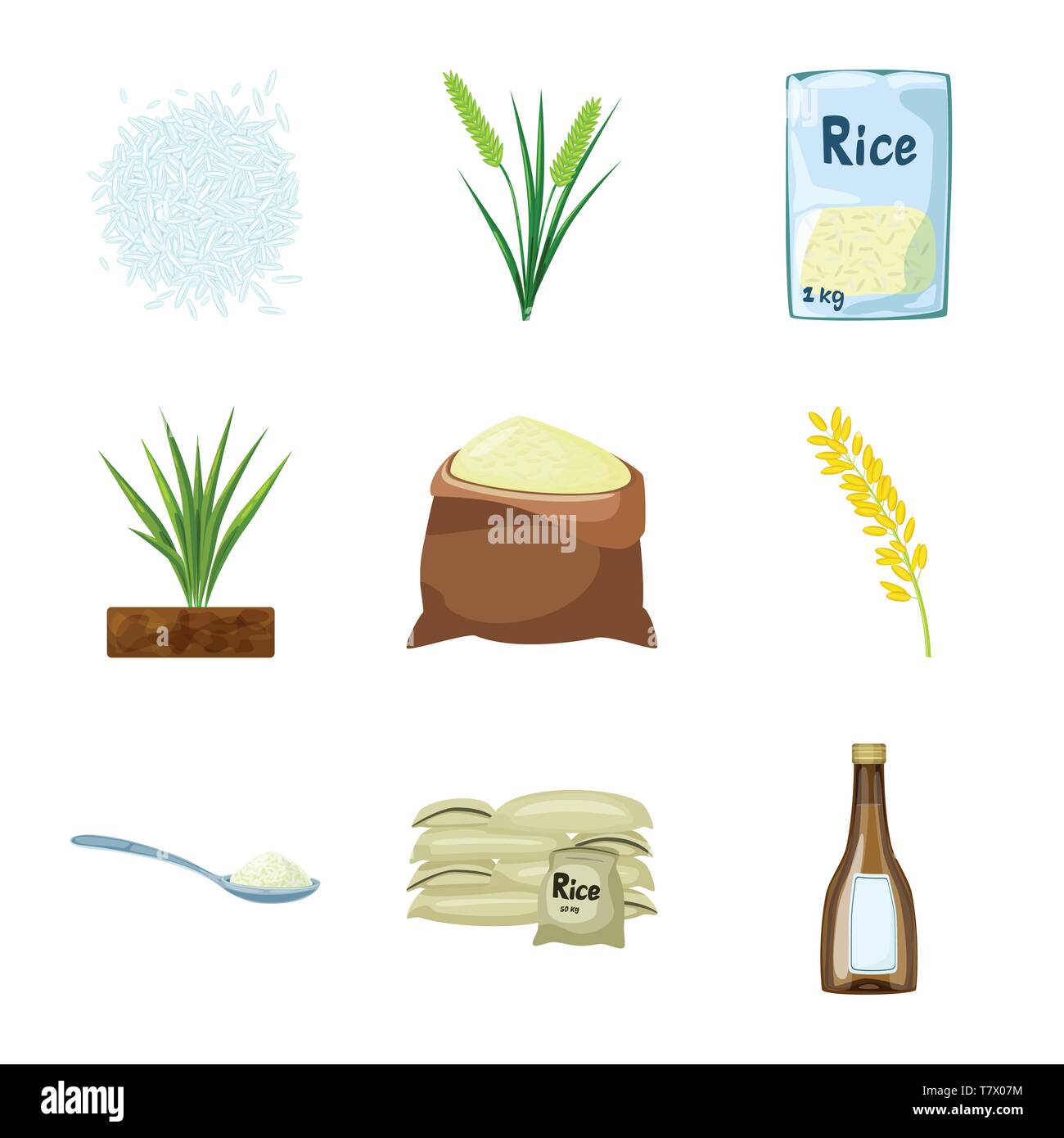 grain,packet,panicle,spikelet,spoon,bag,sauce,rice,soy,white,leaf ...