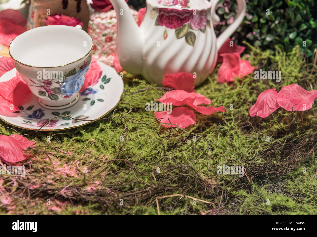 Luxurious Cream Tea Picnic Party Scene with Flower Petals and Old ...