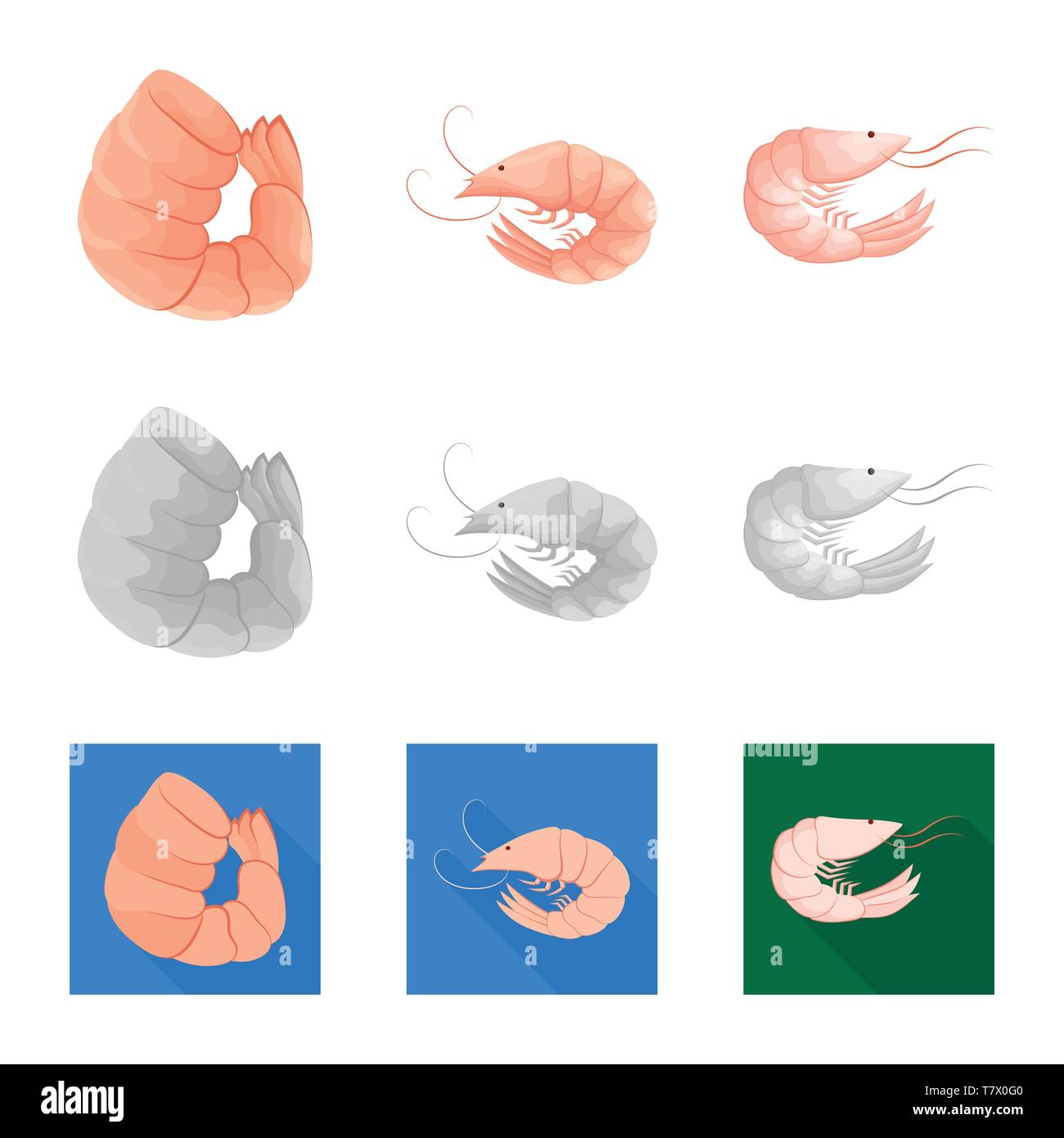 prawn,raw,creature,cooked,fresh,boiled,luxury,underwater,restaurant ...