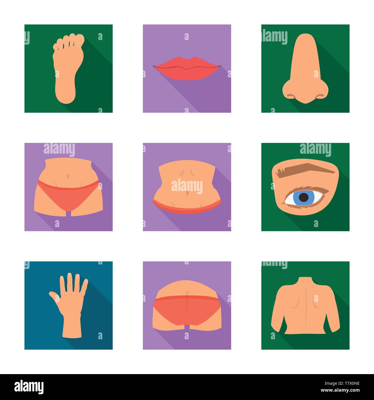 Isolated object of body and part symbol. Set of body and anatomy stock vector illustration Stock ...