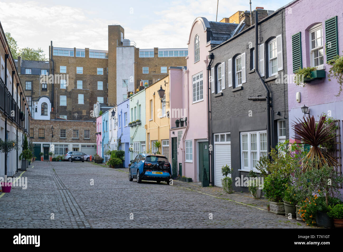 Colourful painted houses and small trees and shrubs in containers in ...