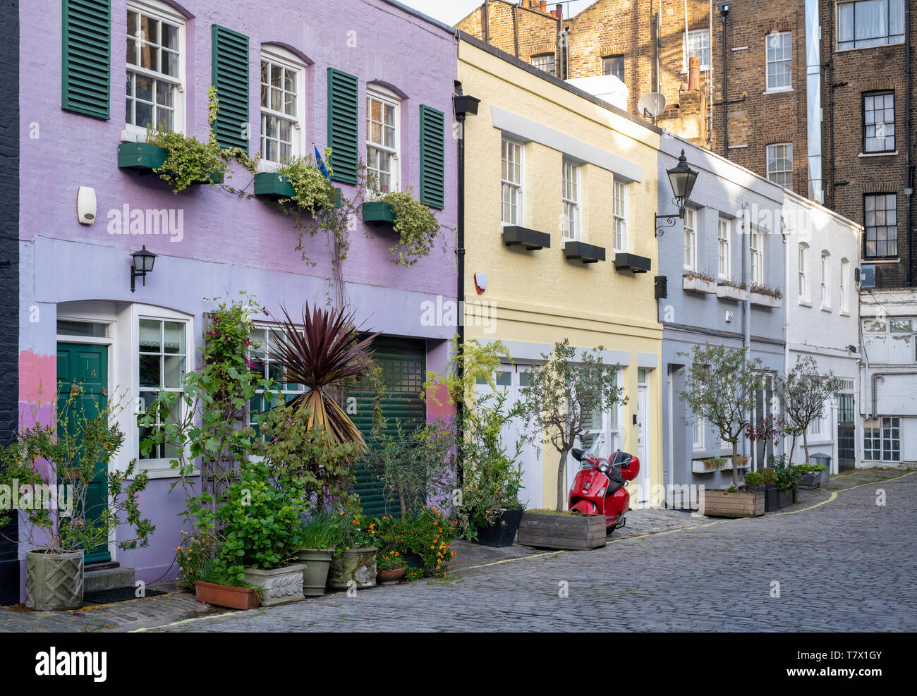 Colourful painted houses and small trees and shrubs in containers in ...