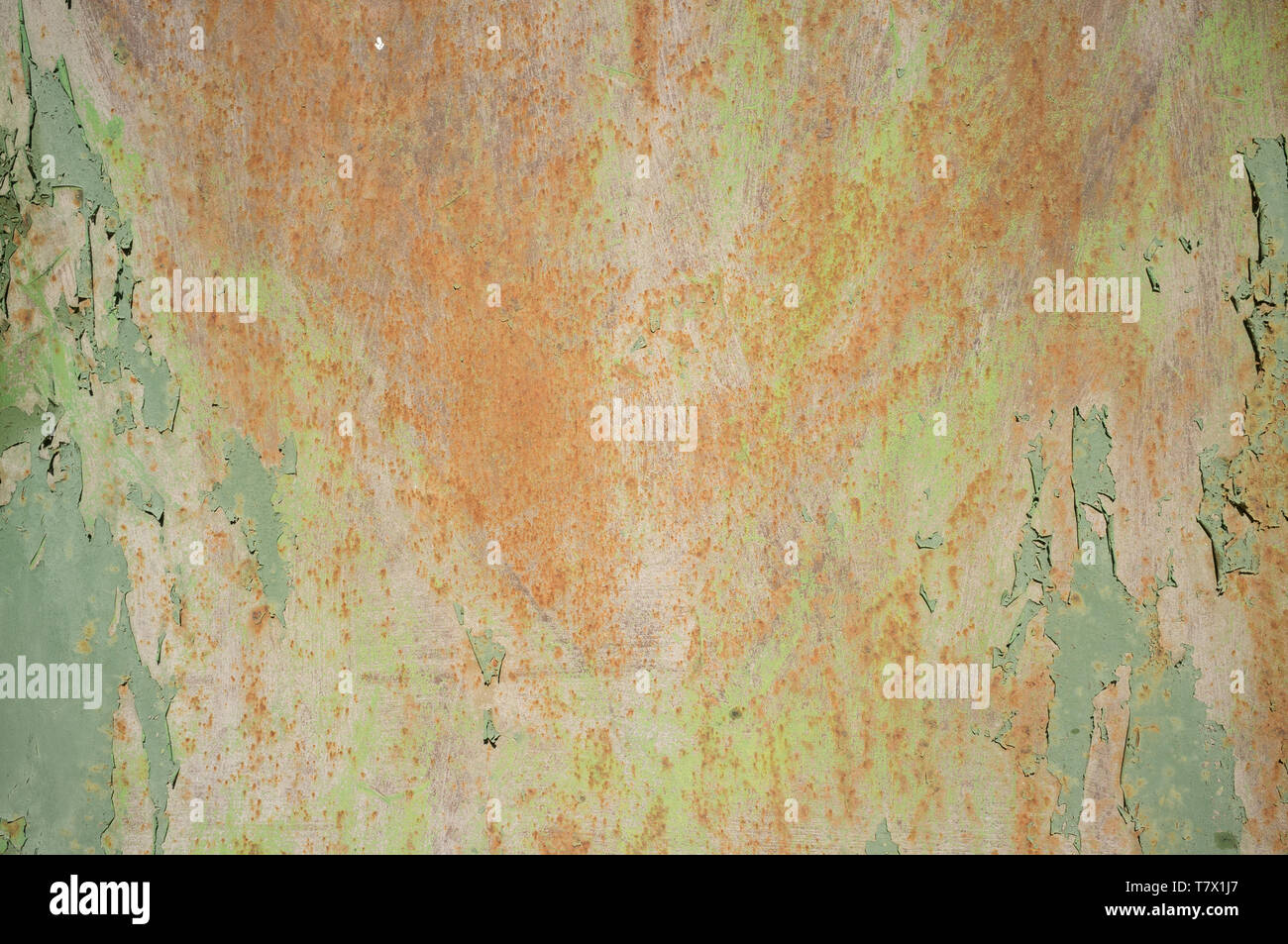 Detail of Old, Grunge, Rusty Metal Doors with Layers of Green ...