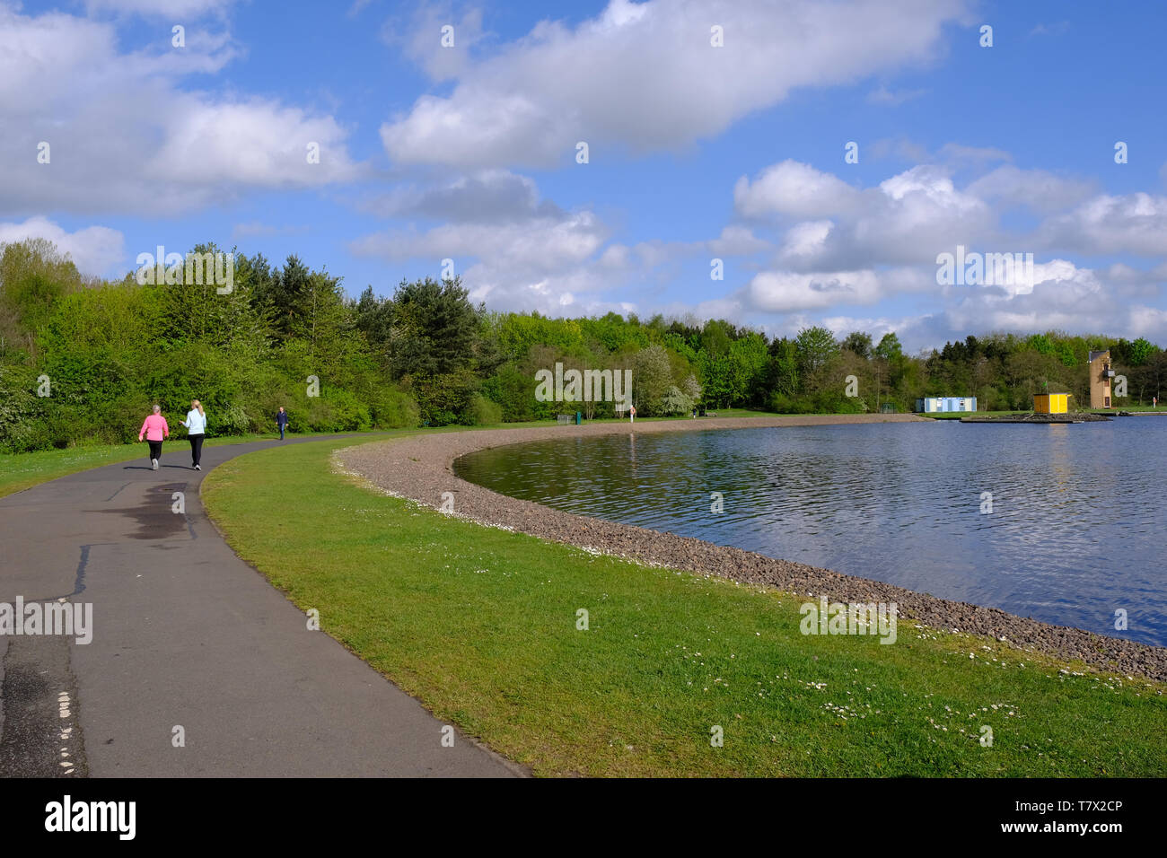 Walks around the Strathclyde Country Park in Scotland Stock Photo - Alamy